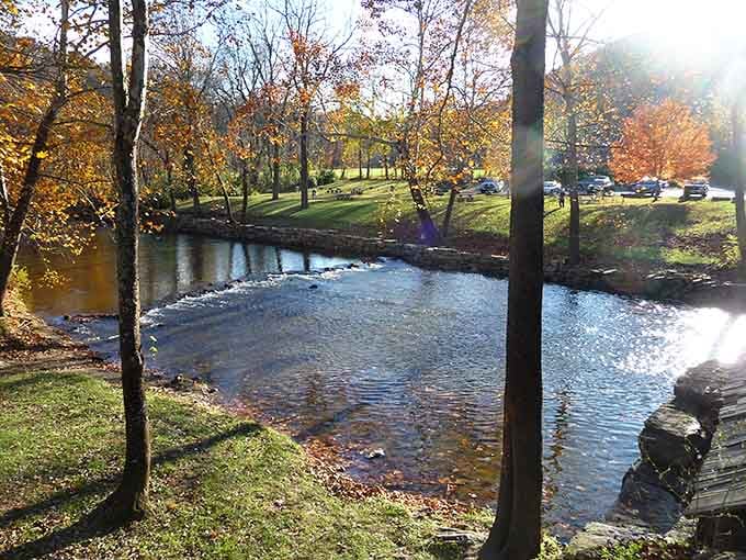 Dunlap Creek glitters gold beneath autumn foliage, the kind of afternoon light that makes you forget you own a phone.
