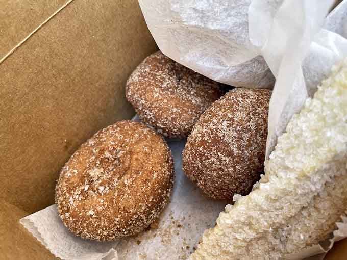 Cider donuts dusted with cinnamon sugar, because sometimes the simple pleasures are the ones worth celebrating most.