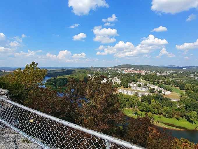 From up here, Hollister and the Ozarks stretch out like a painting someone forgot to put in a museum.