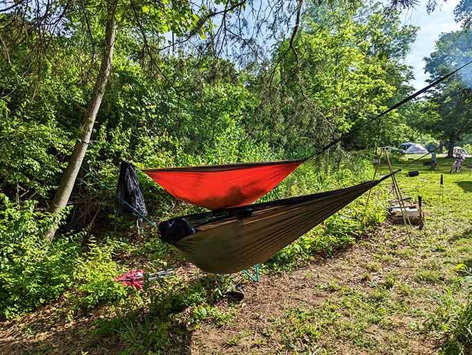 A hammock strung between trees here isn't laziness &mdash; it's a lifestyle choice fully supported by nature.