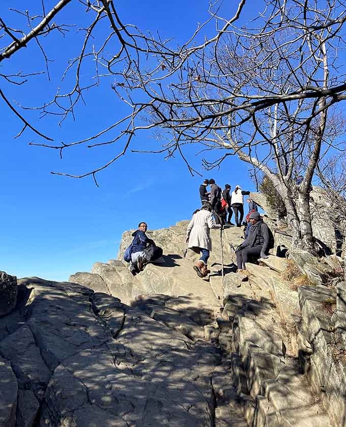 Winter hiking brings the kind of solitude and crystal-clear views that make frozen toes totally worth it.