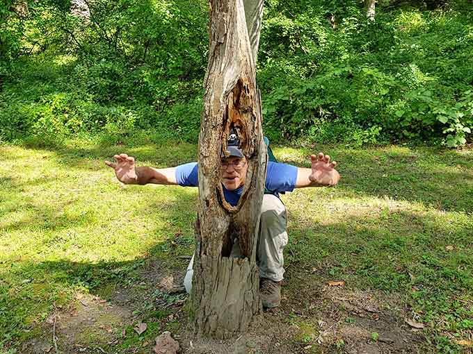 When the trail finds you, sometimes you find the trail finds a hollow tree first. Pure joy.