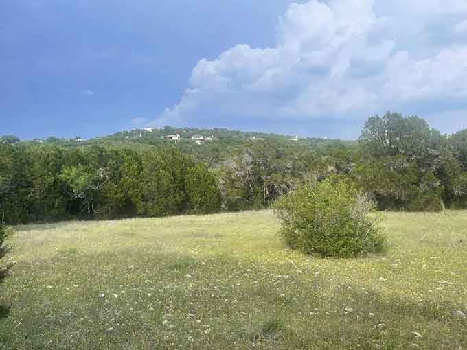Rolling Hill Country meadows stretching toward cedar-covered ridges. Texas decided to be beautiful today.