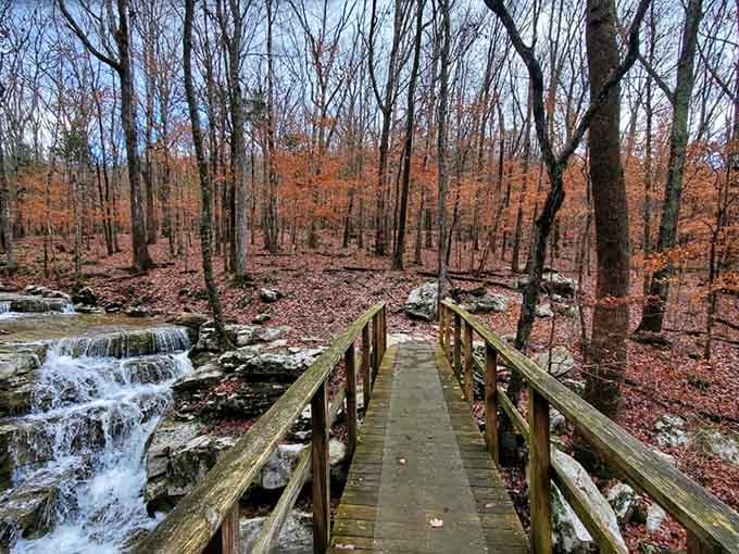 Winter's bare trees frame this bridge perfectly, while that waterfall whispers secrets only hikers get to hear.
