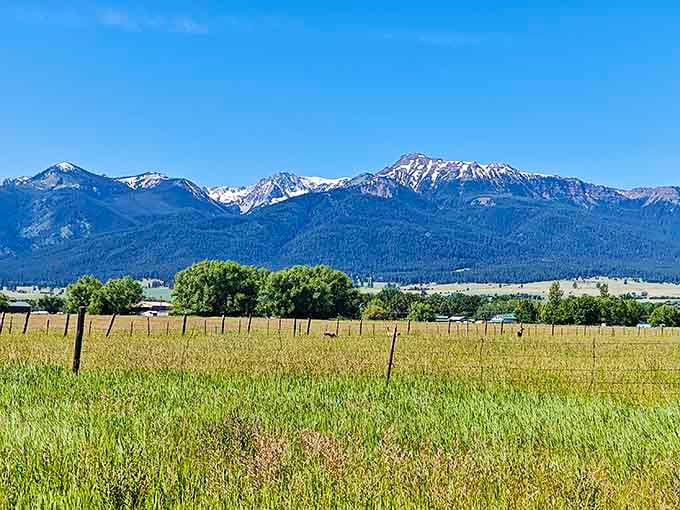 The Wallowa Mountains provide a backdrop so stunning, you'll forget you're supposed to be pedaling.