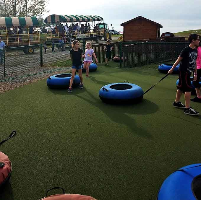 Blue tubes, green turf, and a crowd of people who have completely forgotten about their to-do lists.