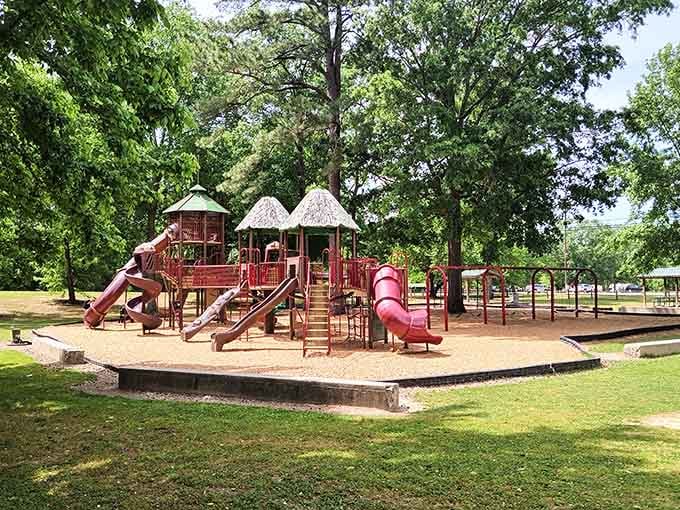 A shaded playground under tall trees reminds you that the best things in life really are free.