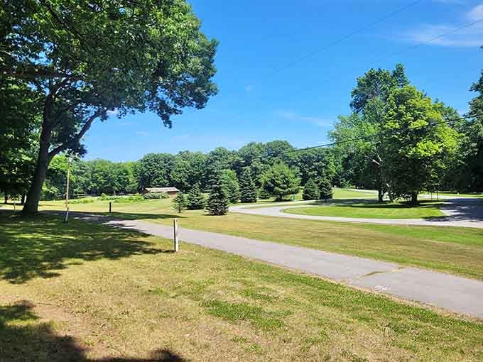 Wide open green space, towering trees, and a winding road that practically begs you to take a slow afternoon stroll.