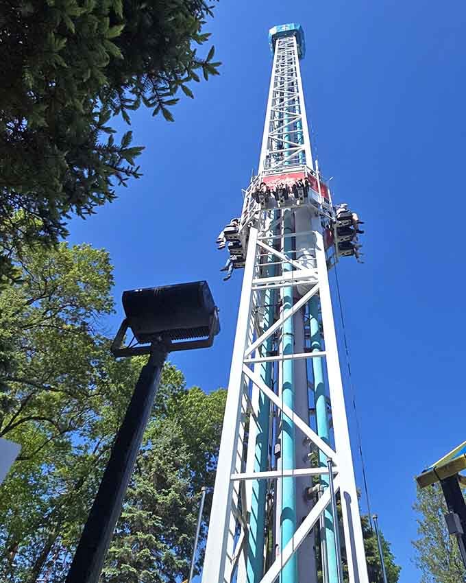 That drop tower isn't just tall. It's a reminder that gravity has a very dark sense of humor.