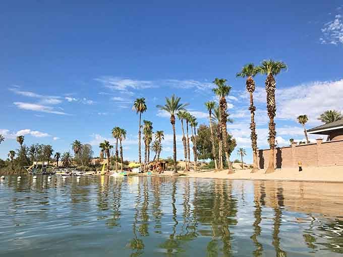 Palm trees, sandy shores, and calm water. Somebody forgot to tell Arizona it wasn't supposed to have a beach.