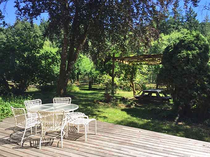 White garden chairs, dappled shade, and zero notifications. This is what winning looks like.