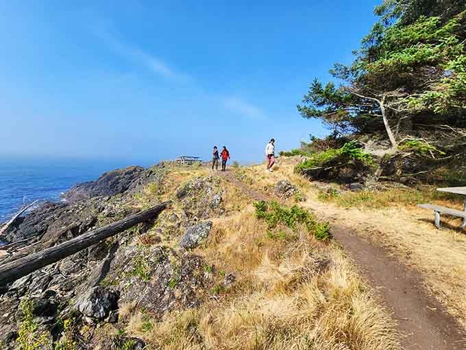Sunny days bring whale watchers to the rocky trails where patience meets spectacular Pacific Northwest scenery.