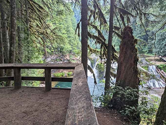 Wooden viewing platforms let you get front-row seats without getting soaked, though the mist finds you anyway.