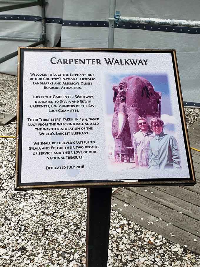 The Carpenter Walkway honors the heroes who saved Lucy from demolition, proving community love can move mountains, or elephants.