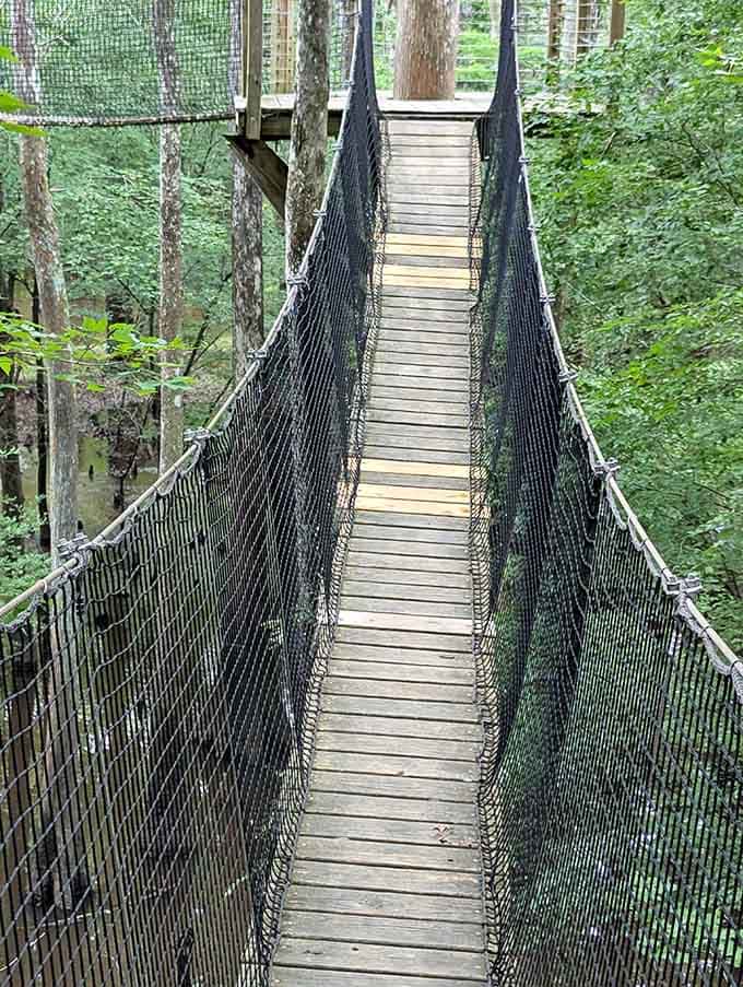 Wooden planks, metal netting, and absolutely zero room for second thoughts once you start walking.