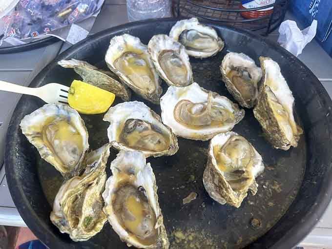 Plump, briny, and glistening on the half shell, these raw Apalachicola oysters are the Gulf of Mexico's finest gift to humanity.
