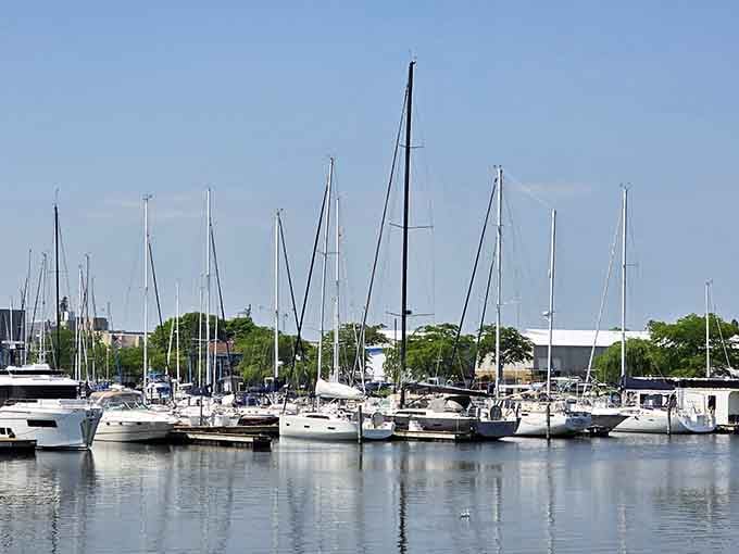 Sailboats bobbing peacefully at the marina, living their best lake life without the ocean's attitude.