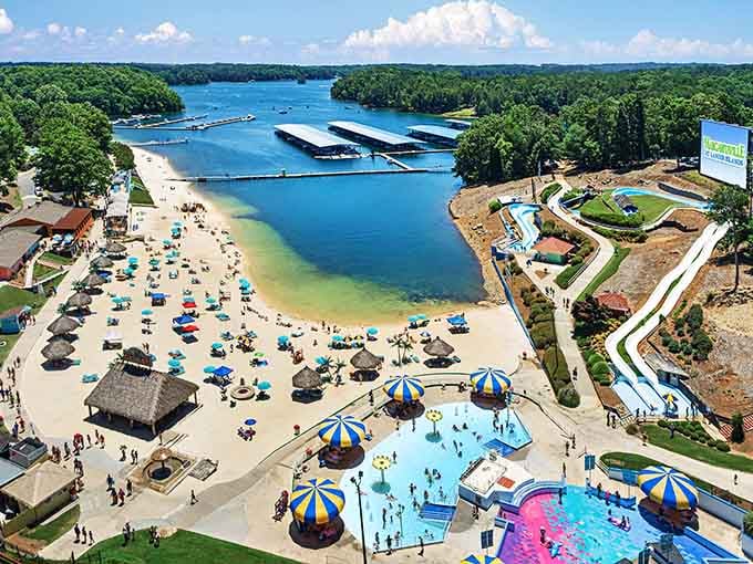 From up here, you can see exactly why people stop making excuses and start making memories at Lake Lanier.