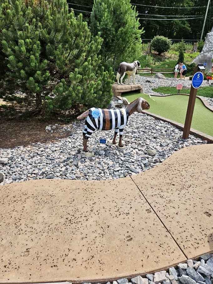 Even the goats here are dressed for the occasion, because apparently prison stripes are very in this season.
