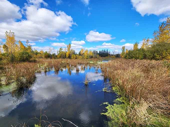 The Little-Known Wisconsin Nature Preserve That Locals Are Keeping All ...