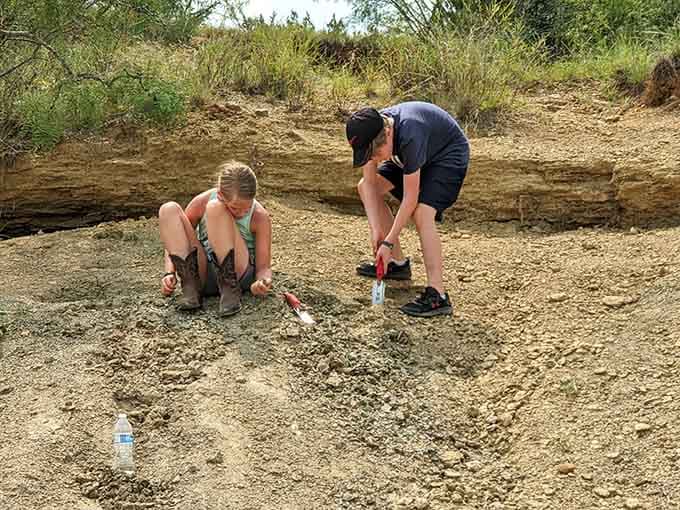 Garden trowels meet ancient rock, and suddenly a Tuesday afternoon becomes the best field trip ever taken.