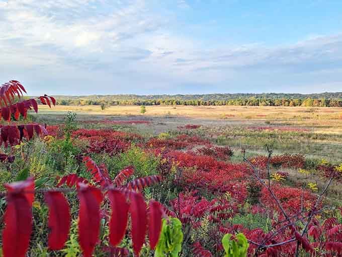 When autumn paints the prairie in crimson and gold, you'll understand why photographers can't stay away.