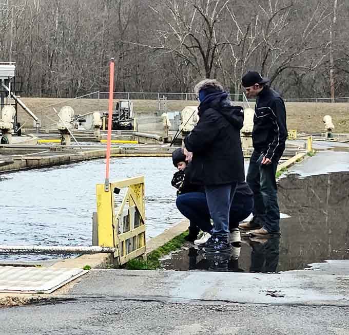 Families fishing together at the hatchery, where patience meets excitement and everyone leaves smiling with stories.