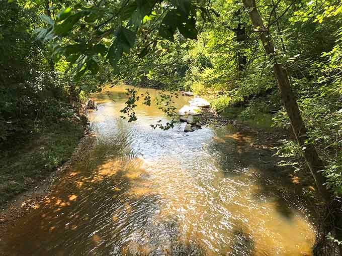 A creek so peaceful and clear it makes you wonder why you ever needed a spa day.