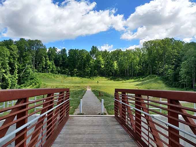 That boardwalk isn't just a path. It's an invitation to leave your to-do list behind.