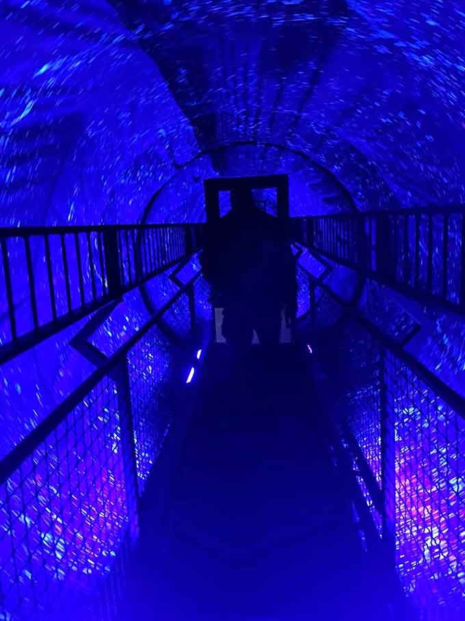 Step into the vortex tunnel and feel the floor move beneath you, except it isn't moving at all.