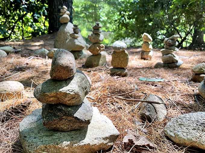 Someone stacked these rocks with patience most of us save for loading the dishwasher. Pure, meditative artistry.