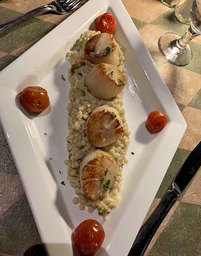 Golden-seared scallops lined up on pearl couscous with roasted tomatoes, proof that elegance can also be deeply comforting.