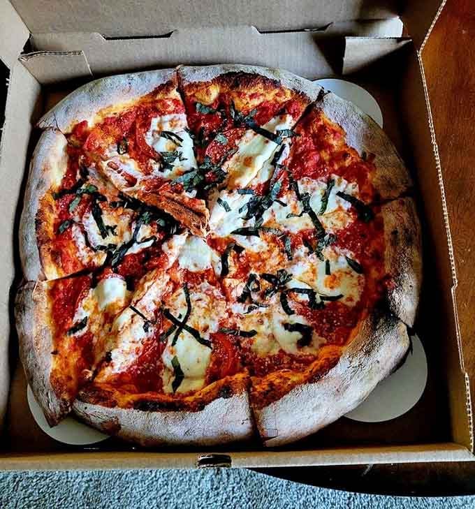 The Margherita arrives looking like a painting. Fresh mozzarella, bright tomato, and basil that makes everything feel right with the world.