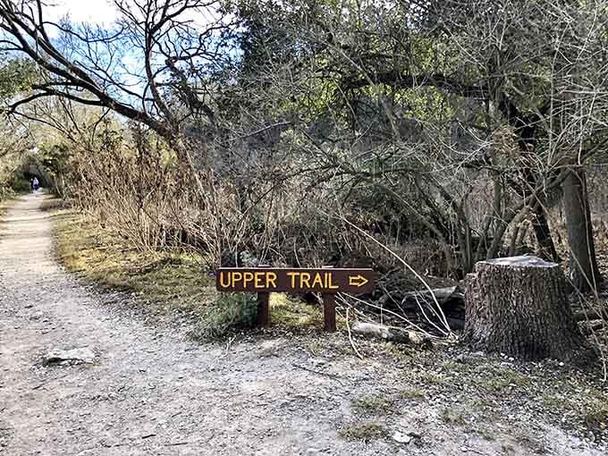 The upper trail winds through cedar and oak, a gentle walk that leads to anything but a gentle surprise.