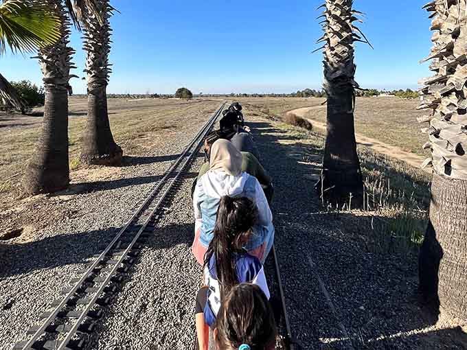 Palm trees and miniature railways: only in California does this combination make perfect sense.