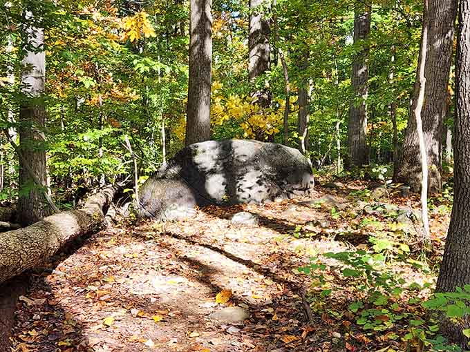 That boulder has been sitting there longer than your favorite diner, just waiting for admirers.