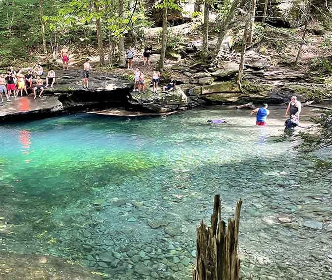 When the swimming hole is this good, nobody needs convincing to get in twice.