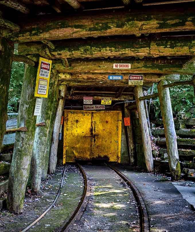 Moss-covered timber, warning signs, and a glowing yellow door. Your adventure starts exactly where the daylight ends.