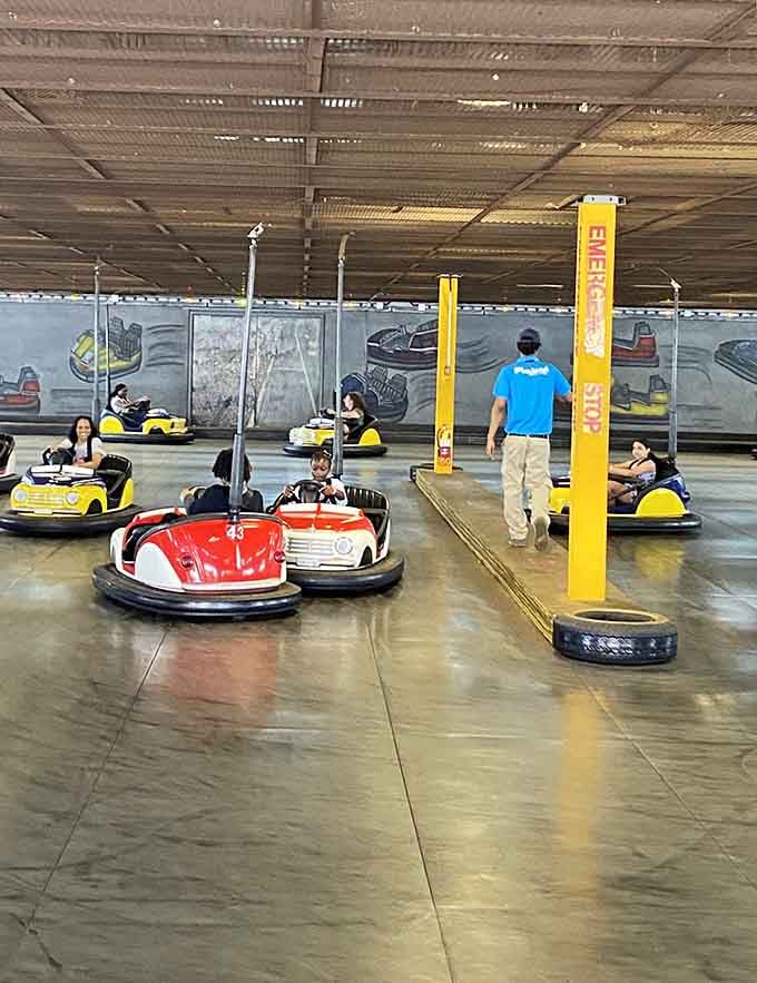Bumper cars: the one place where ramming into strangers is not only acceptable but enthusiastically encouraged by everyone involved.