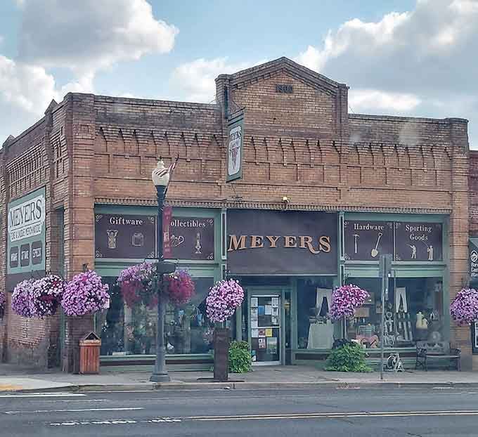 Meyers store dresses its brick facade in cascading purple petunias, proving that hardware and charm can absolutely share the same address.