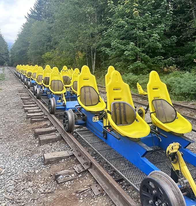Four seats, one track, zero wrong turns. These sturdy rail bikes are built for sharing the fun.