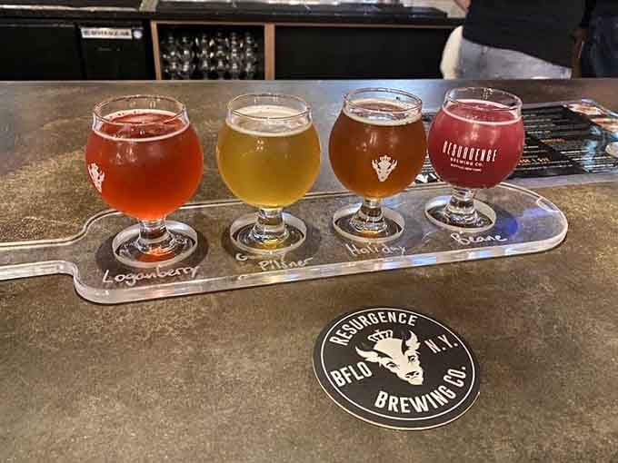 Four different beers lined up like a rainbow of deliciousness, each one telling its own flavorful story.