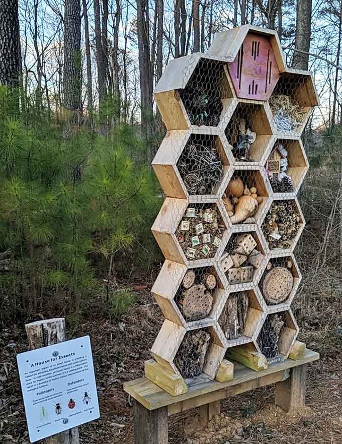 A five-star hotel for pollinators and defenders. Honestly, better curb appeal than most condos in the DMV.