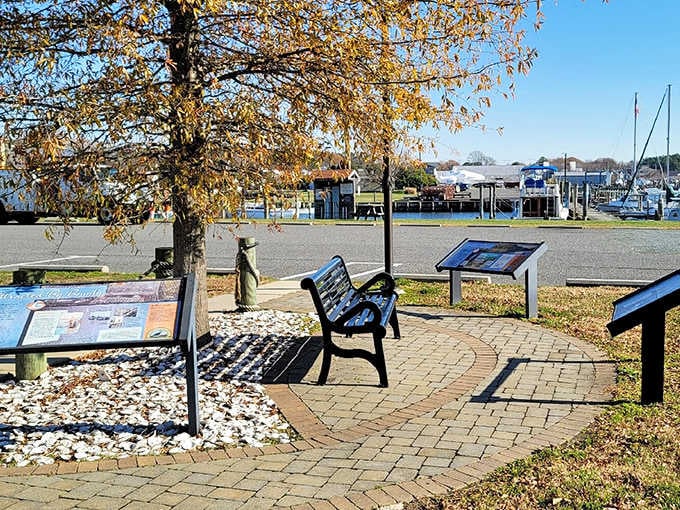 Bayside Landing Park benches and interpretive signs invite you to sit, read, and breathe deeply. Do it.