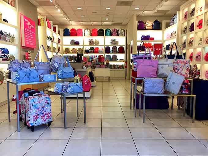 Handbags in every hue line the walls like a rainbow of practical luxury, each one whispering sweet promises of organization.