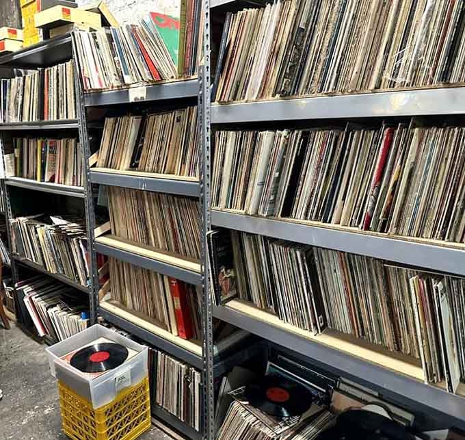 Vinyl lovers, your record collection just called begging for reinforcements from these packed shelves.