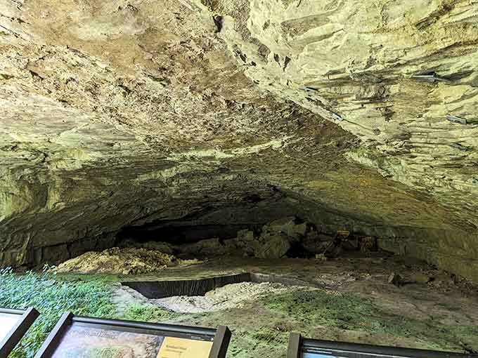 Standing under that ancient limestone ceiling, you realize this was prime real estate long before zip codes existed.