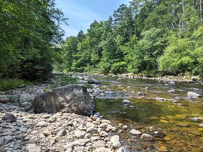 That river isn't just pretty. It's the kind of clear, cold water that makes you want to sit and stay a while.