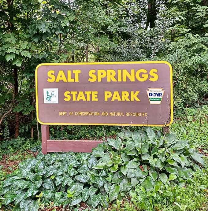 The sign says Salt Springs State Park, but your heart will read it as "exactly where you needed to be today."
