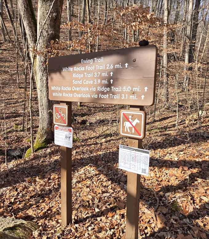 The sign says Sand Cave is 3.9 miles ahead. Your legs will negotiate that number later.